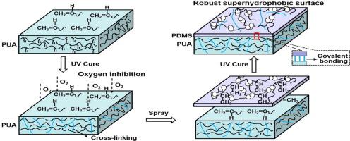 Fast preparation of mechanically stable superhydrophobic surface by UV ...