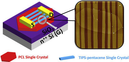 Polymer single crystal dielectrics for organic field-effect transistors ...