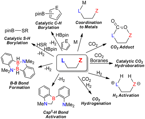 Ambiphilic Molecules: From Organometallic Curiosity to Metal-Free ...