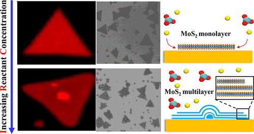 Unveiling the Growth Mechanism of MoS2 with Chemical Vapor Deposition ...