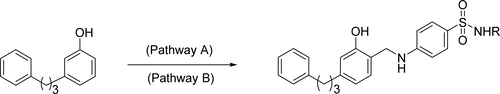 Synthesis and Bioactivity of Reduced Chalcones Containing Sulfonamide ...