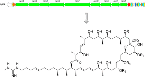 Identification and Proposed Relative and Absolute Configurations of ...