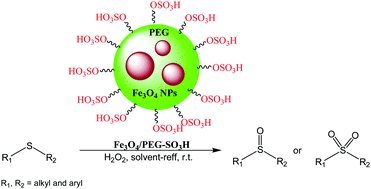 Fe3O4/PEG-SO3H as a heterogeneous and magnetically-recyclable ...