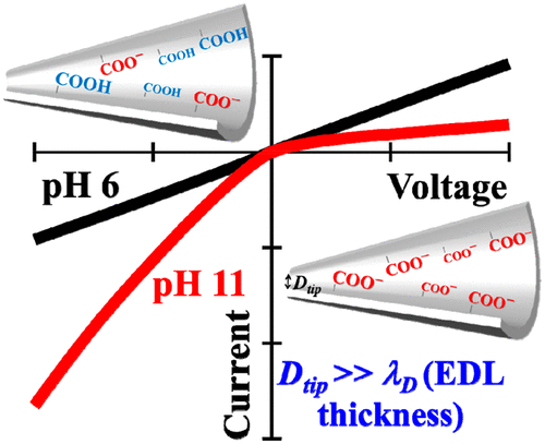 Voltage-Induced Modulation of Ionic Concentrations and Ion Current ...