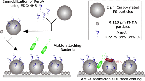 Binary Colloidal Crystal Layers as Platforms for Surface Patterning of Puroindoline-Based ...
