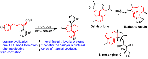 Brønsted Acid-Mediated Domino One-Pot Dual C–C Bond Formation ...