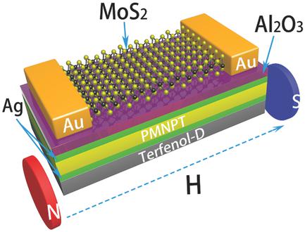 Magnetic‐Induced‐Piezopotential Gated MoS2 Field‐Effect Transistor at ...