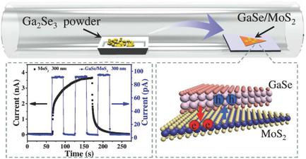 范德华外延合成的P-GaSe / N-MoS2垂直异质结构用于光响应调制,Small - X-MOL