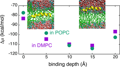 Free-Energy Analysis of Peptide Binding in Lipid Membrane Using All ...