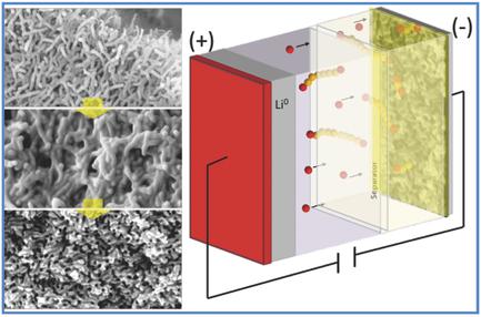 Phase Inversion Strategy to Fabricate Porous Carbon for Li‐S Batteries ...