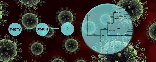 Identification of epistatic mutations and insights into the evolution ...