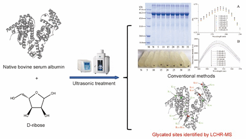 Liquid Chromatography High-Resolution Mass Spectrometry Identifies the ...