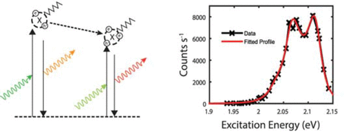 Probing Excitons, Trions, and Dark Excitons in Monolayer WS2 Using ...
