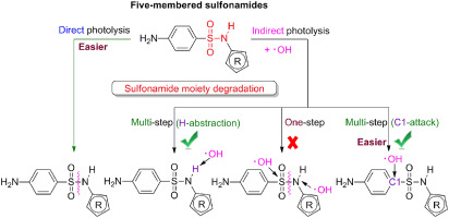 Photolysis mechanism of sulfonamide moiety in five-membered ...