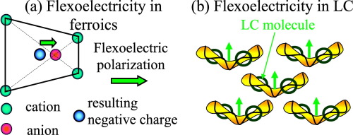 Flexoelectricity induced spatially modulated phases in ferroics and ...