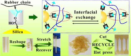 Engineering of β-Hydroxyl Esters into Elastomer–Nanoparticle Interface ...