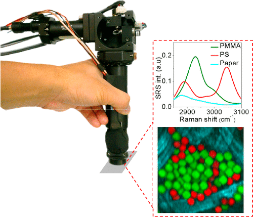 In Vivo and in Situ Spectroscopic Imaging by a Handheld Stimulated ...