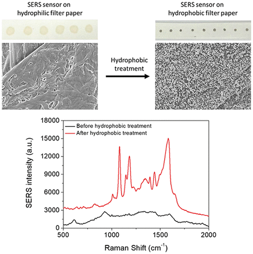 Subnanomolar Sensitivity of Filter Paper-Based SERS Sensor for ...