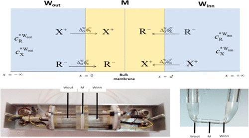 Theoretical Treatment of Ion Transfers in Two Polarizable Interface ...