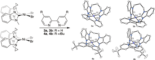 Synthesis and Characterization of Heteroleptic Ni(II) Bipyridine Complexes Bearing Bis(N ...