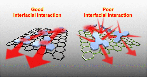 Interfacial Engineering for the Synergistic Enhancement of Thermal ...