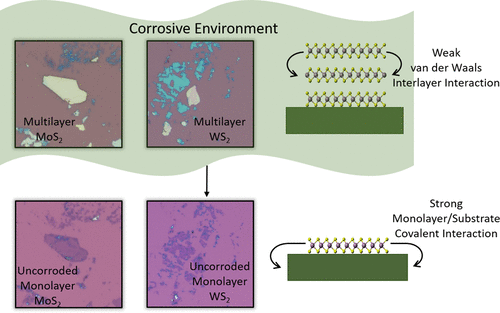 Superior Electro-Oxidation and Corrosion Resistance of Monolayer ...