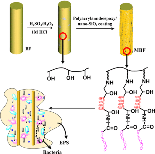 有机/无机复合材料对玄武岩纤维表面改性的生物膜载体在废水处理中的应用,ACS Sustainable Chemistry ...