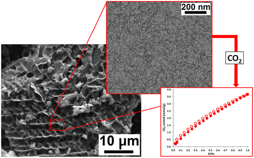 Hierarchically Porous Carbon Materials for CO2 Capture: The Role of ...