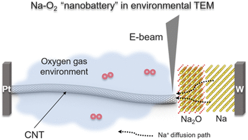 Revealing the Reaction Mechanism of Na–O2 Batteries using Environmental ...