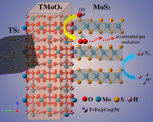 In Situ Growth of MoS2 Nanosheet Arrays and TS2 (T = Fe, Co, and Ni ...