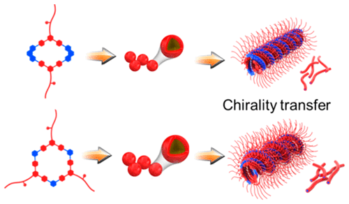 Alanine-Based Chiral Metallogels via Supramolecular Coordination ...