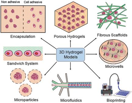 Engineering 3D Hydrogels for Personalized In Vitro Human Tissue Models ...