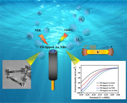 Pd‐Tipped Au Nanorods for Plasmon‐Enhanced Electrocatalytic Hydrogen ...