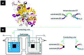 A dual-cell device designed as an oxidase mimic and its use for the ...