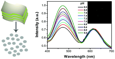 Ratiometric photoluminescence sensing based on Ti3C2 MXene quantum dots ...