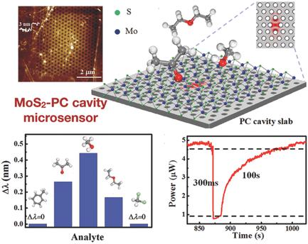 High‐Performance Volatile Organic Compounds Microsensor Based on Few ...