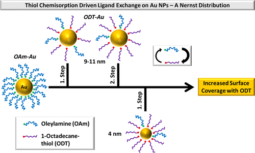 Monitoring Thiol–Ligand Exchange on Au Nanoparticle Surfaces,Langmuir ...