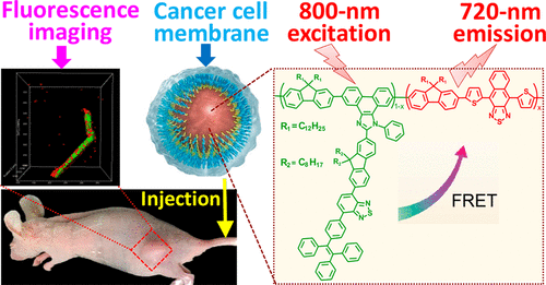 Cancer Cell Membrane-Biomimetic Nanoprobes with Two-Photon Excitation ...