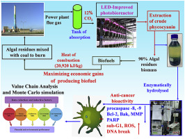 Value chain analysis of algal bioenergy and carbon capture integrated ...