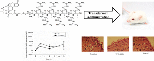 Synthesis, Characterization, and Evaluation of Triptolide Cell ...
