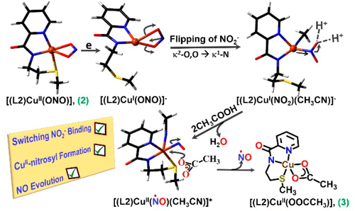 A Copper(II) Nitrite That Exhibits Change of Nitrite Binding Mode and ...