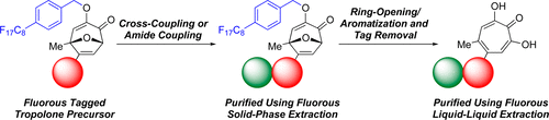 Fluorous-Phase Approach to α-Hydroxytropolone Synthesis,The Journal of ...