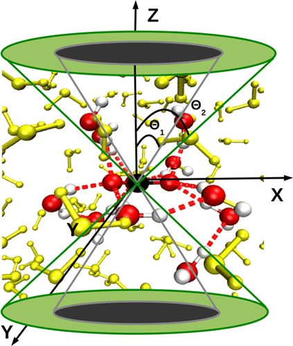 Structural And Dynamical Nature Of Hydration Shells Of The Carbonate Ion In Water An Ab Initio