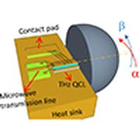 Homogeneous spectral broadening of pulsed terahertz quantum cascade ...