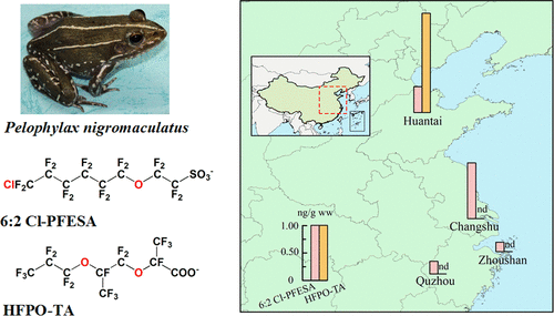 Occurrence and Tissue Distribution of Novel Perfluoroether Carboxylic ...