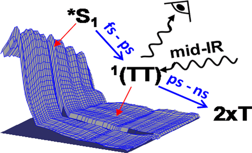 Direct Observation of Correlated Triplet Pair Dynamics during Singlet ...