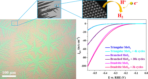 Large Dendritic Monolayer MoS2 Grown by Atmospheric Pressure Chemical ...