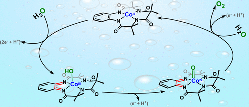 Redox Active Ligand Assisted Multi-Electron Catalysis: A Case of CoIII ...