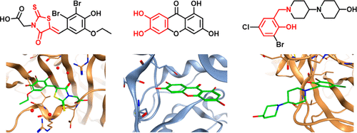 X-ray Structures of Target–Ligand Complexes Containing Compounds with ...