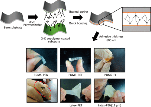 A Sub-minute Curable Nanoadhesive with High Transparency, Strong ...